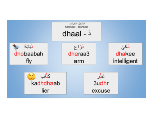 Lesson 2 - Learn Arabic diacritics/harakaat/tashkeel - Champolu